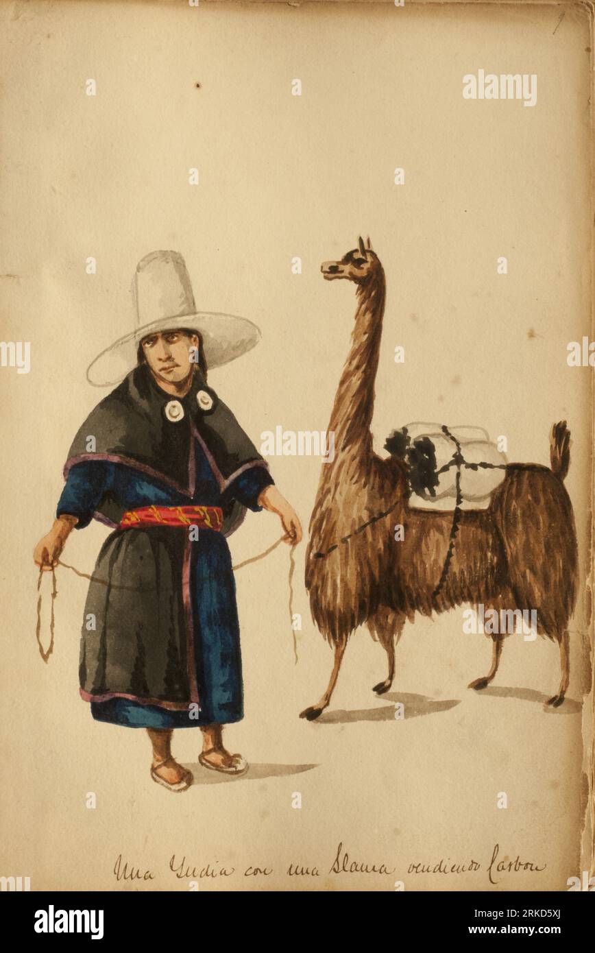 An Indian with a llama selling coal between circa 1850 and circa 1860 ...