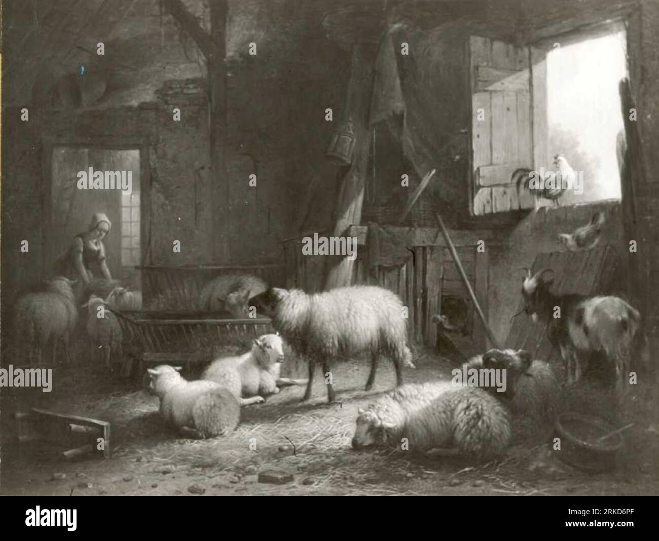 Sheep and goats in stable 1851 by Pieter Plas Stock Photo - Alamy