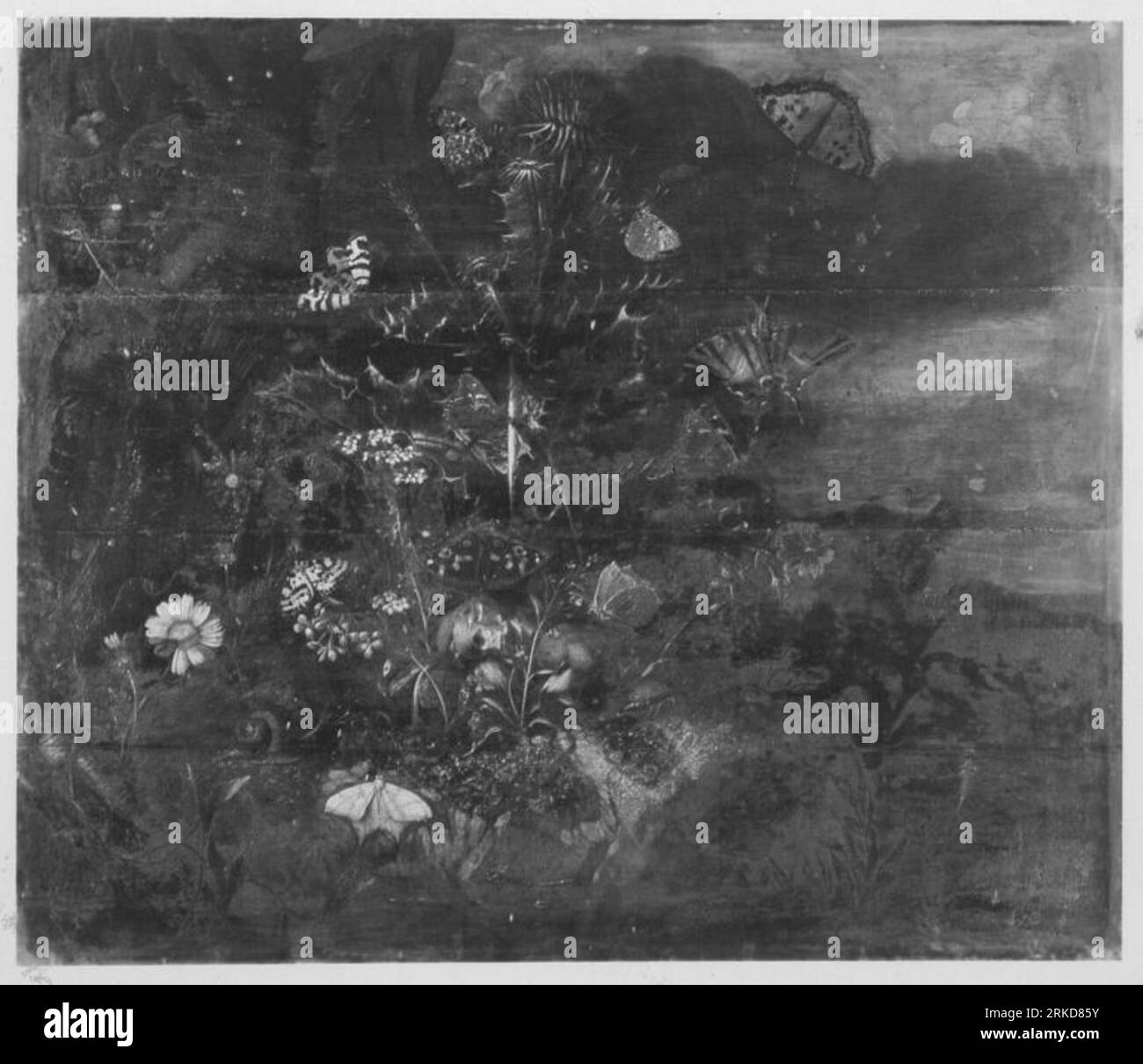 Johann rudolf byss hi-res stock photography and images - Alamy