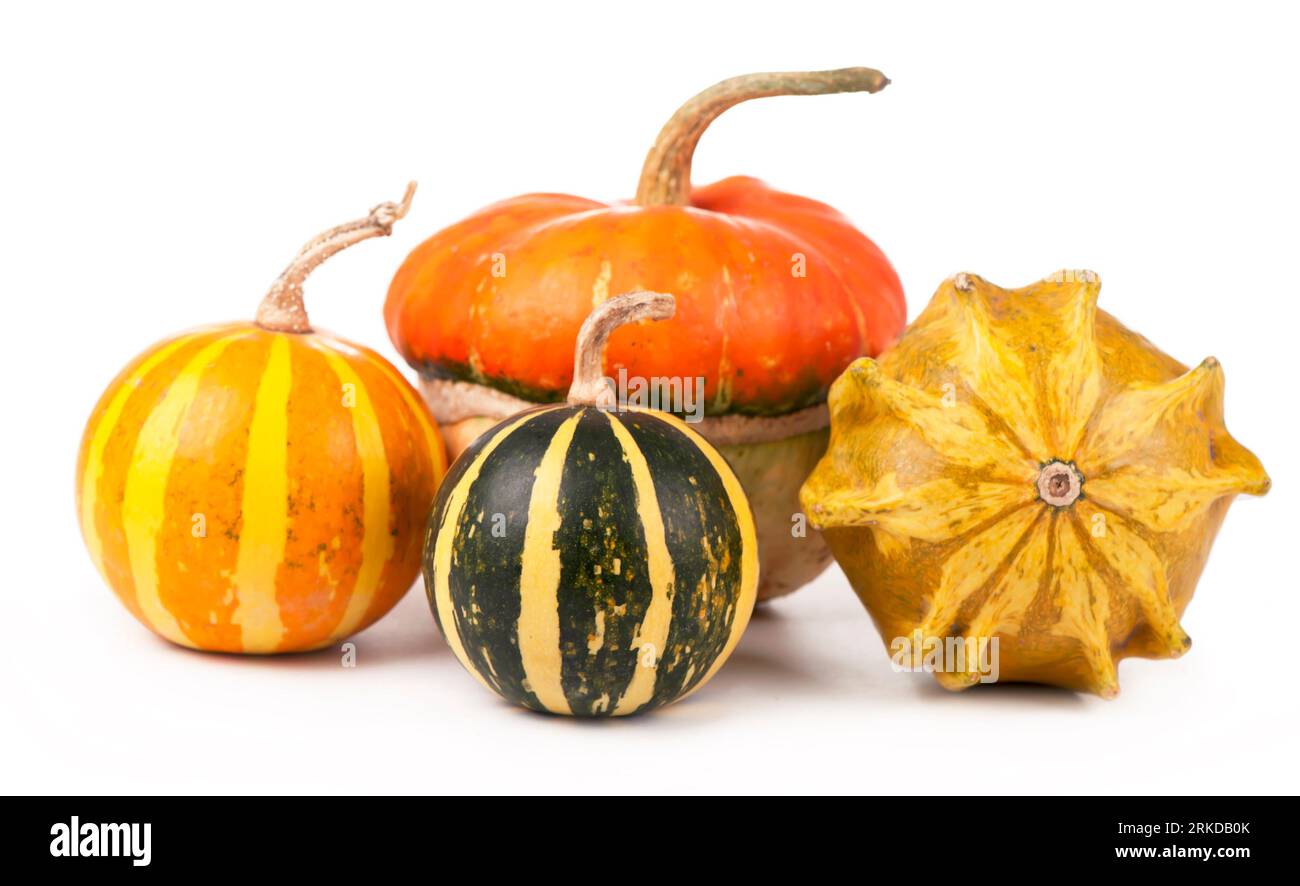 Group of pumpkins isolated on white background Stock Photo - Alamy