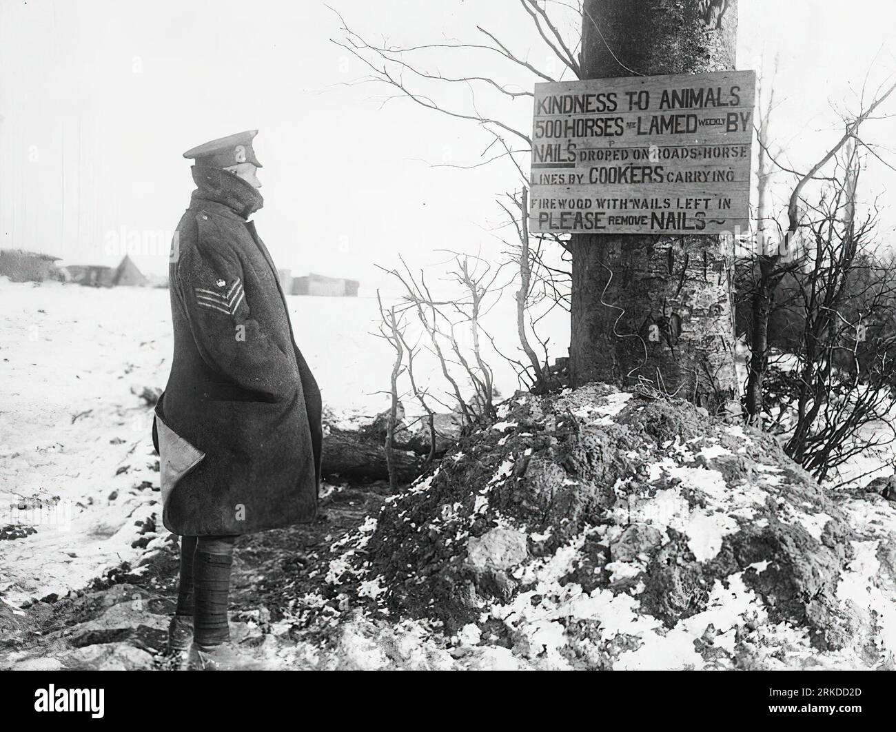 World War I or the First World War, often abbreviated as WWI or WW1 ...