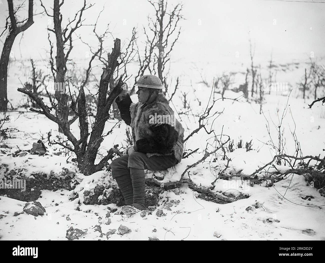 World War I or the First World War, often abbreviated as WWI or WW1 ...