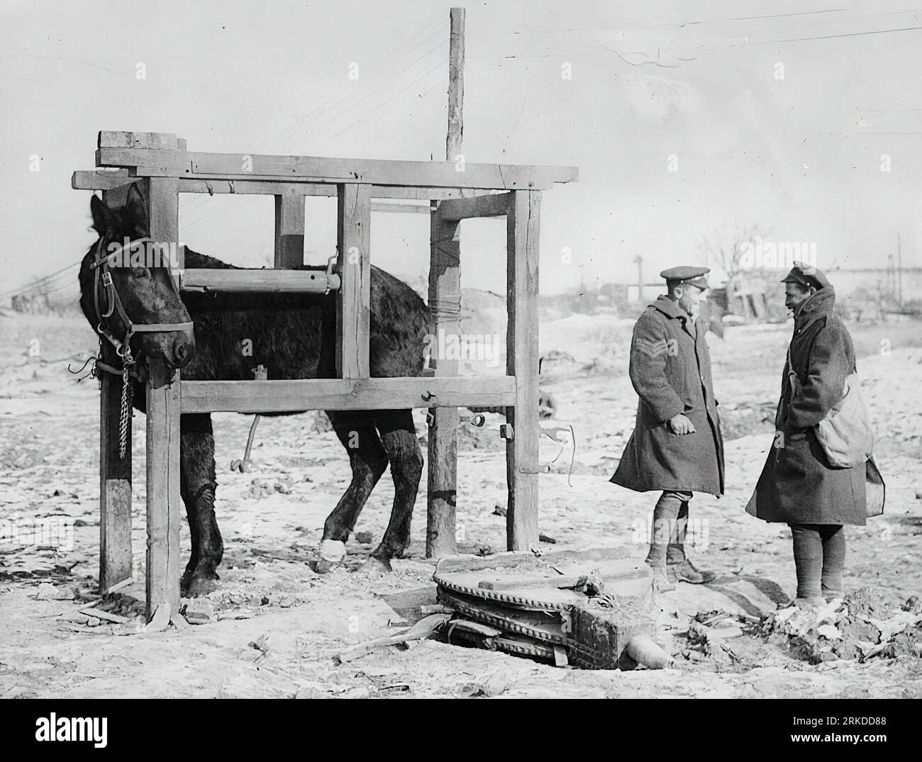 World War I or the First World War, often abbreviated as WWI or WW1 ...