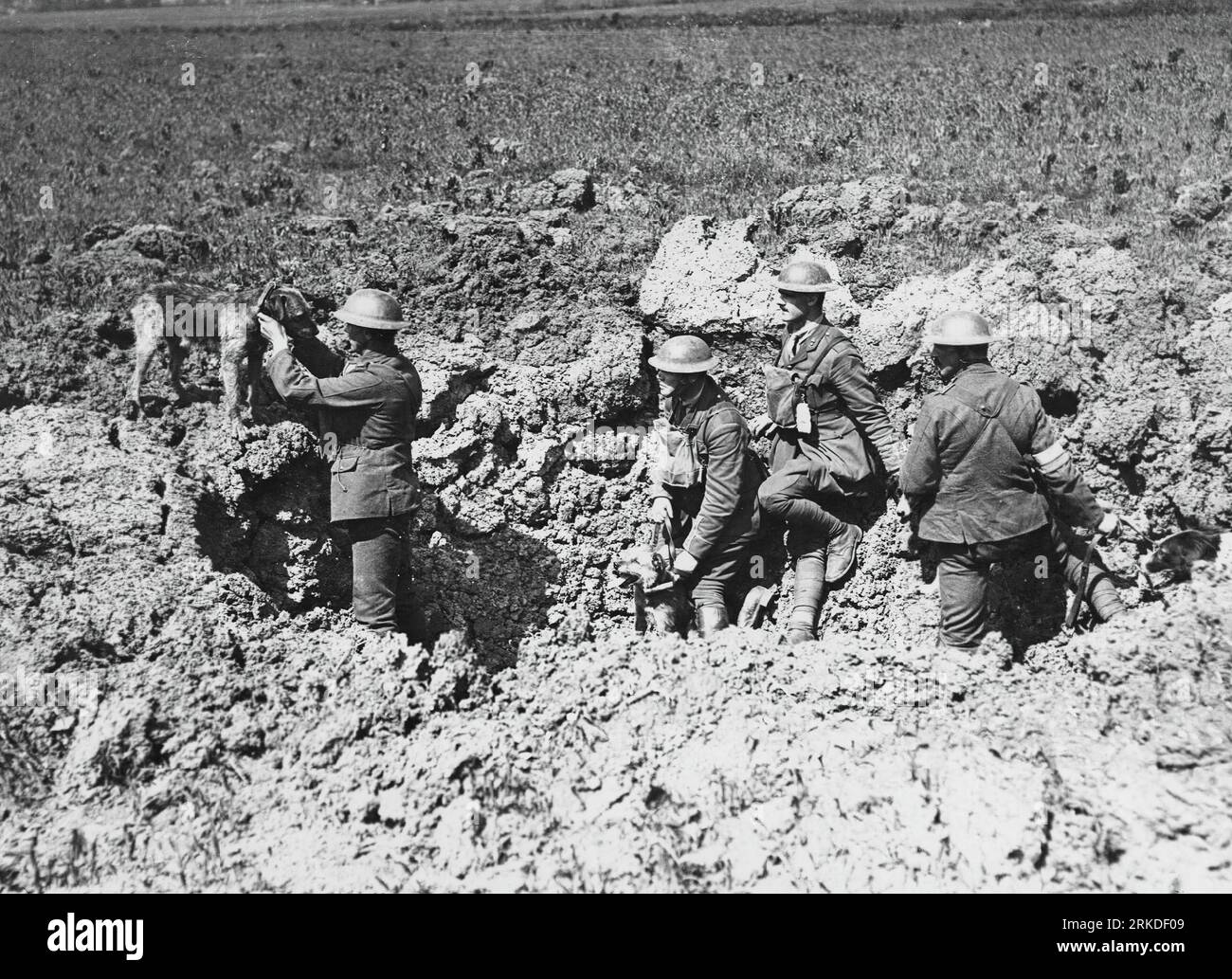 World War I or the First World War, often abbreviated as WWI or WW1 ...