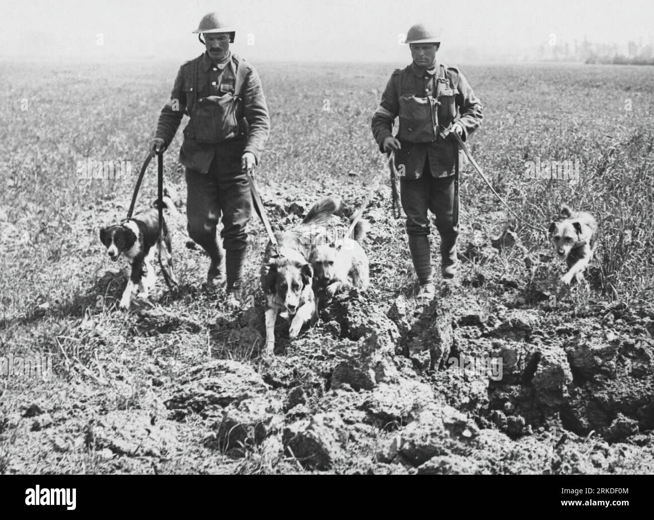 World War I or the First World War, often abbreviated as WWI or WW1 ...