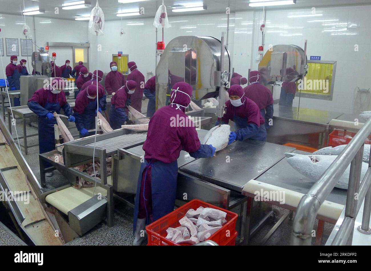 Tuna processing hi-res stock photography and images - Alamy