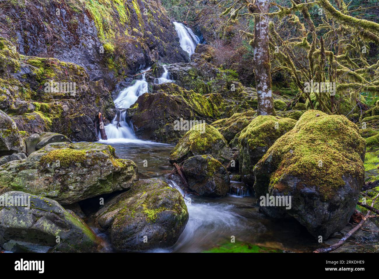 The Todd Creek waterfalls in Sooke Potholes Provincial Park, Vancouver ...