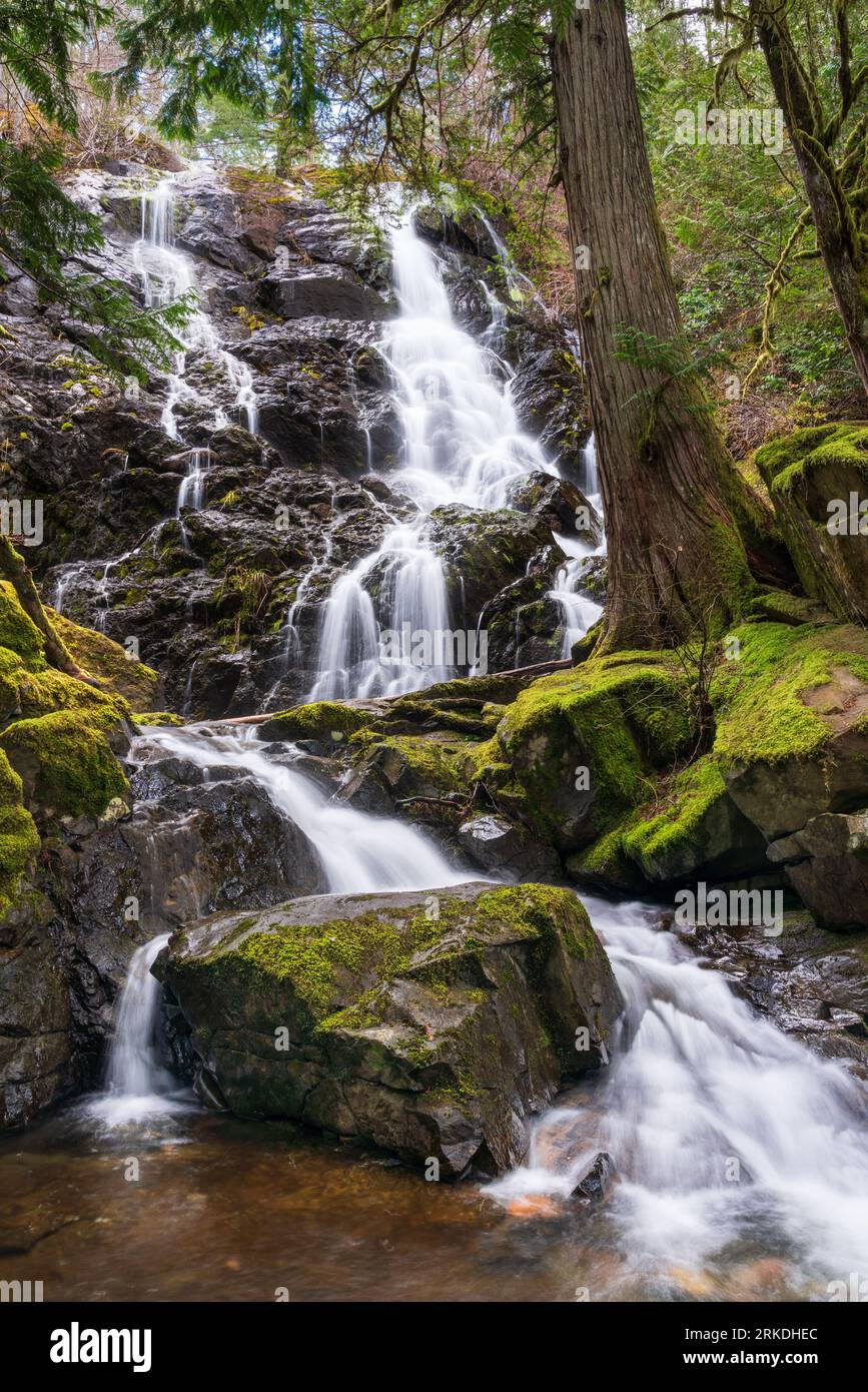 The Todd Creek waterfalls in Sooke Potholes Provincial Park, Vancouver ...