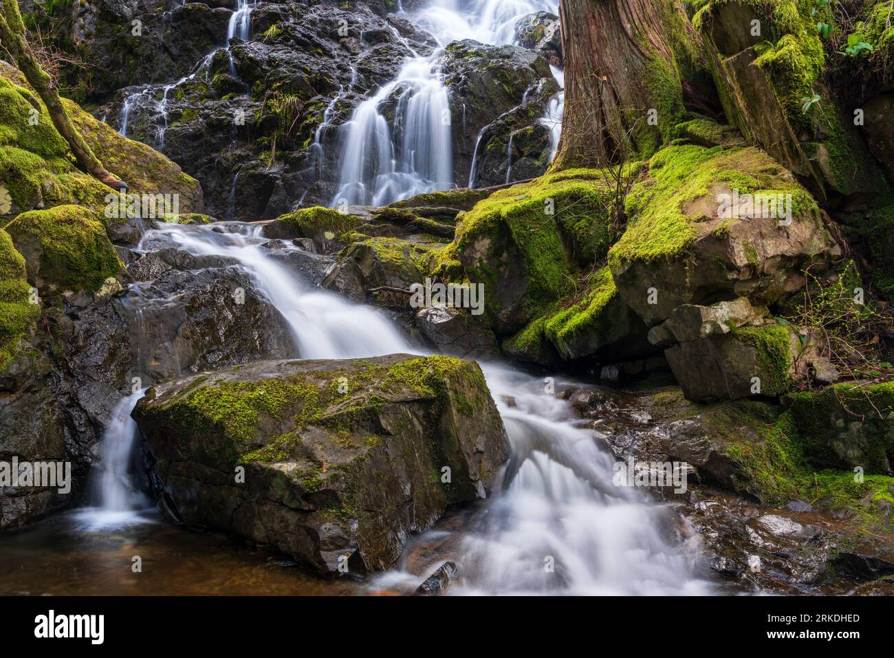 The Todd Creek waterfalls in Sooke Potholes Provincial Park, Vancouver ...