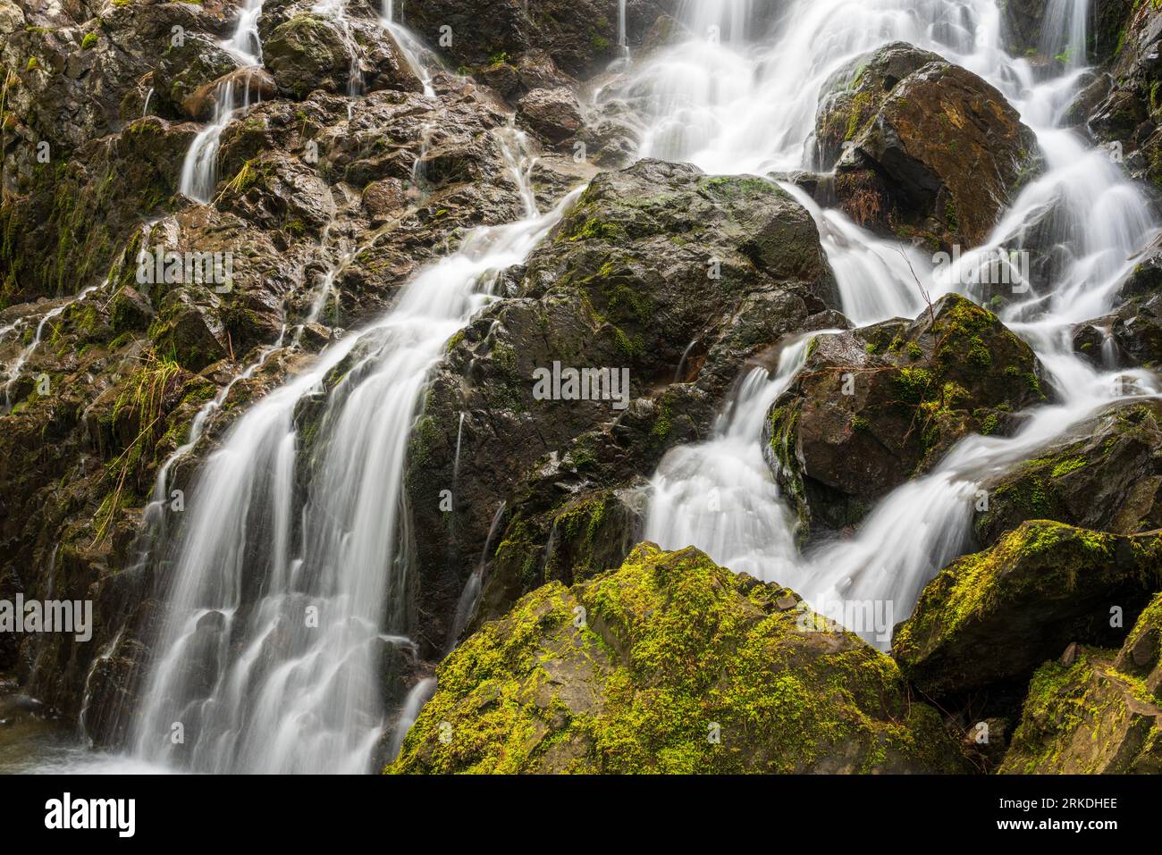 The Mary vine waterfalls on Vancouver Island, British Columbia, Canada ...