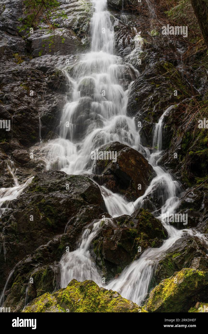 Mary vine waterfalls hi-res stock photography and images - Alamy