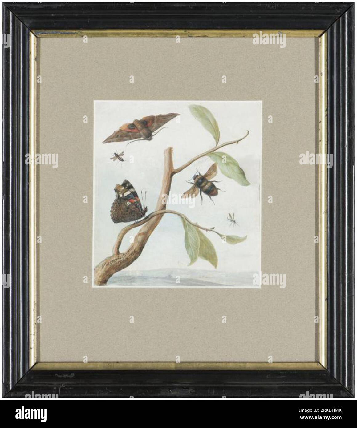 Insecten in heuvelachtig landschap 1658 by Margareta de Heer Stock ...