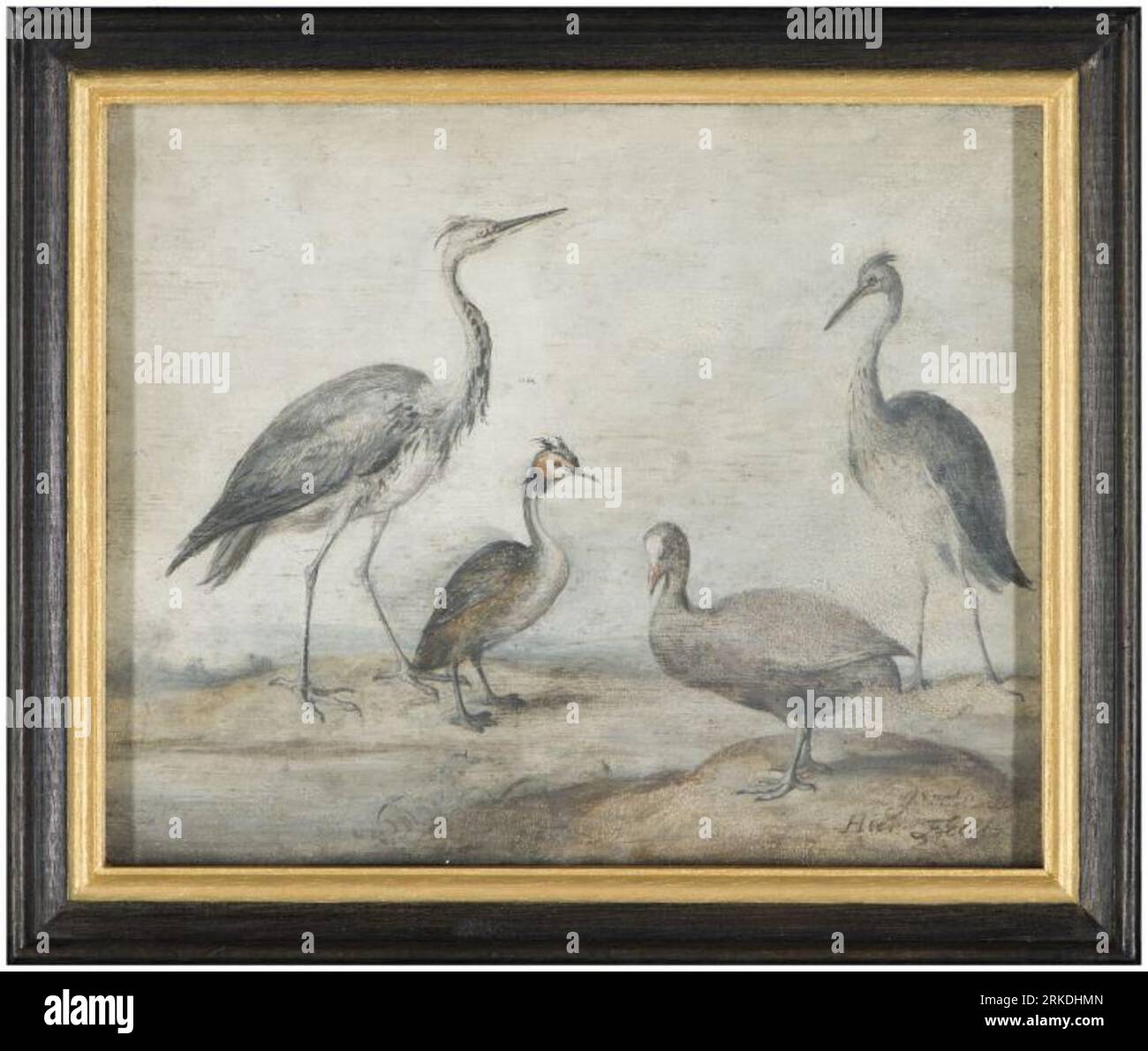 Reiger Cut Out Stock Images & Pictures - Alamy