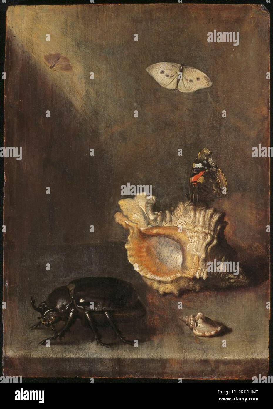 Stilleven met neushoornkever, hoornschelp en vlinders 1644 by Margareta ...