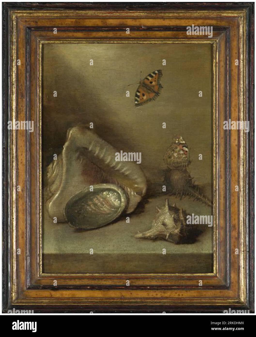 Stilleven met schelpen en vlinders 1644 by Margareta de Heer Stock ...