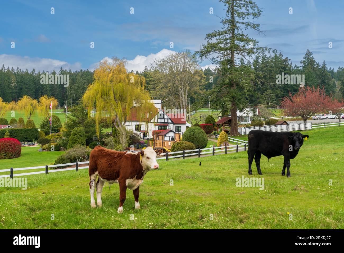 The Capernwray Harbour Bible Center on Thetis Island, Vancouver Island ...