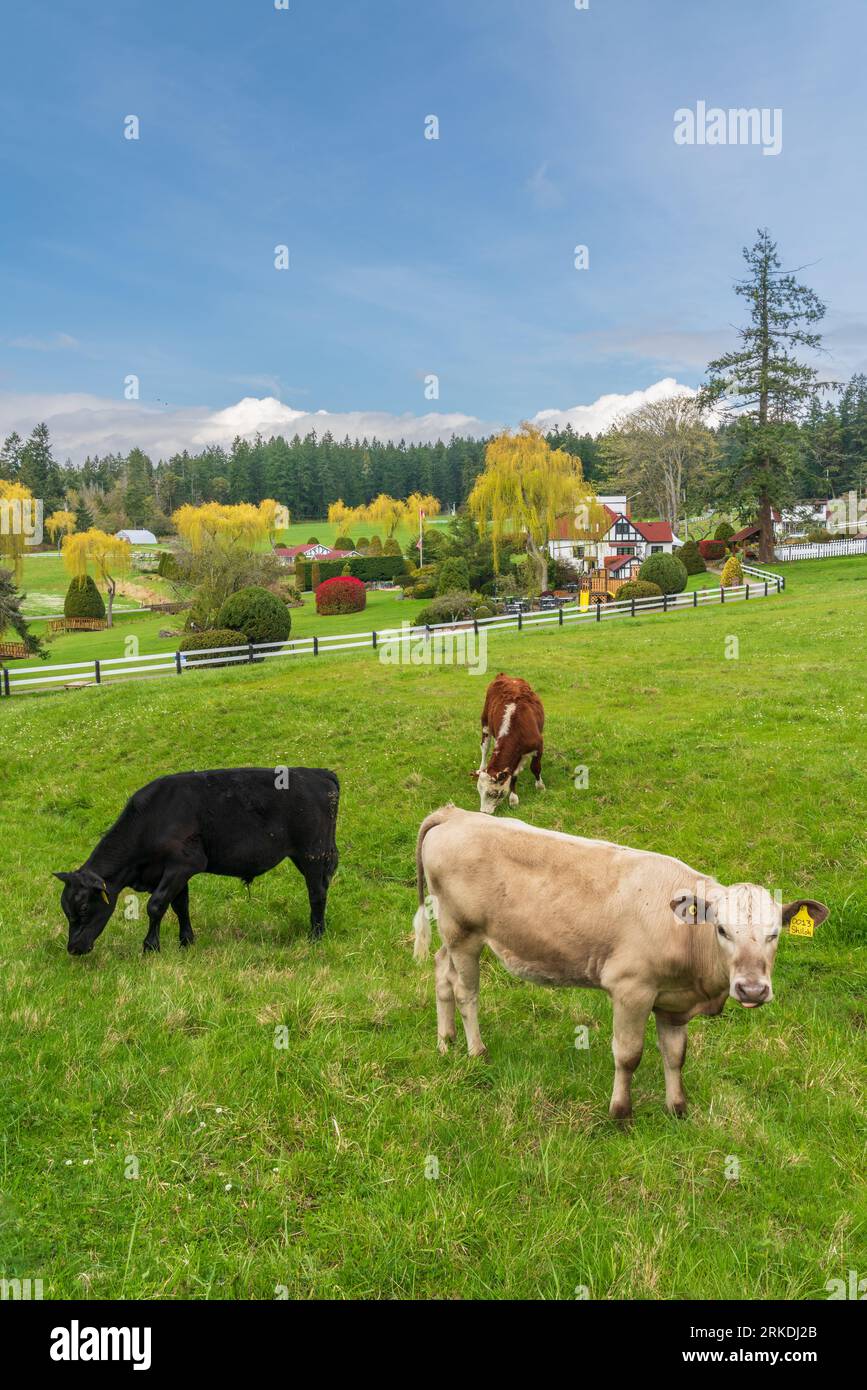 The Capernwray Harbour Bible Center on Thetis Island, Vancouver Island ...