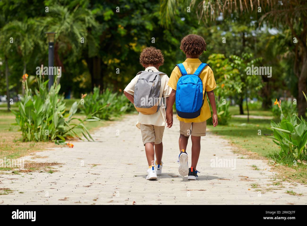 Schoolboys with backpacks walking home after classes Stock Photo - Alamy