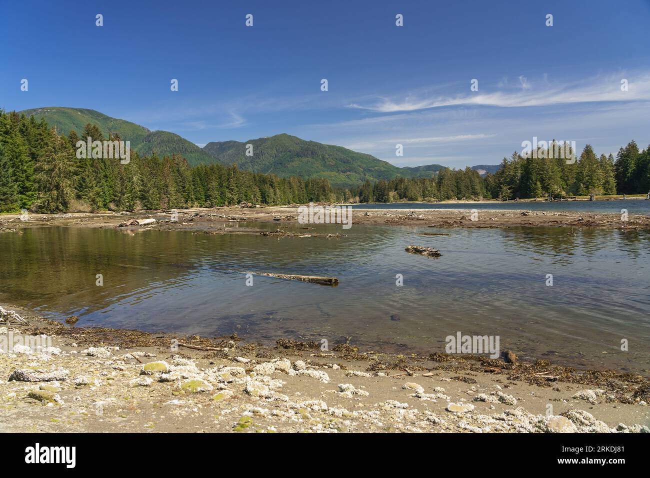 A sandy river bed and tidal inlets in the coastal forest near Port ...