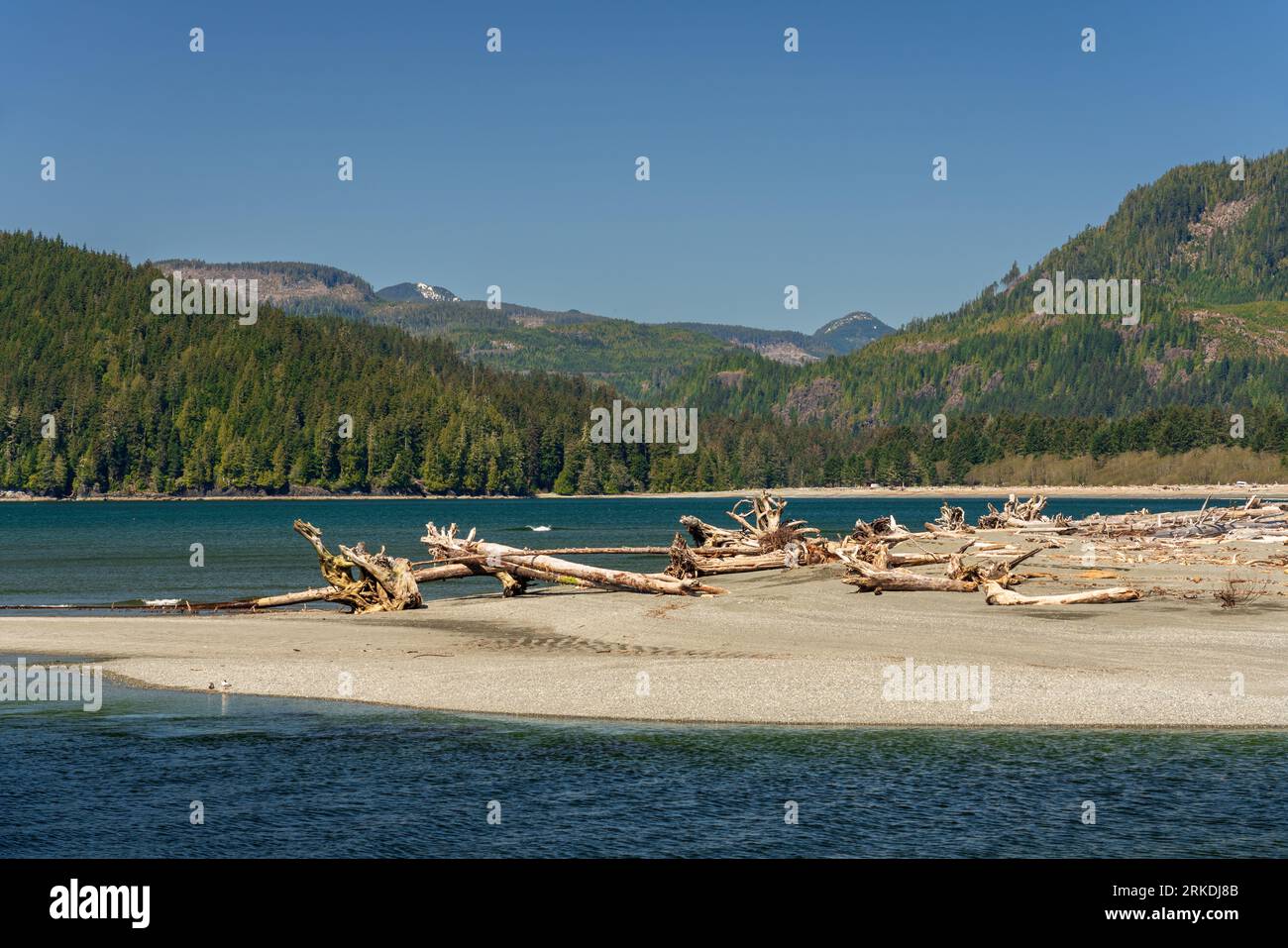 A sandy river bed and tidal inlets in the coastal forest near Port ...