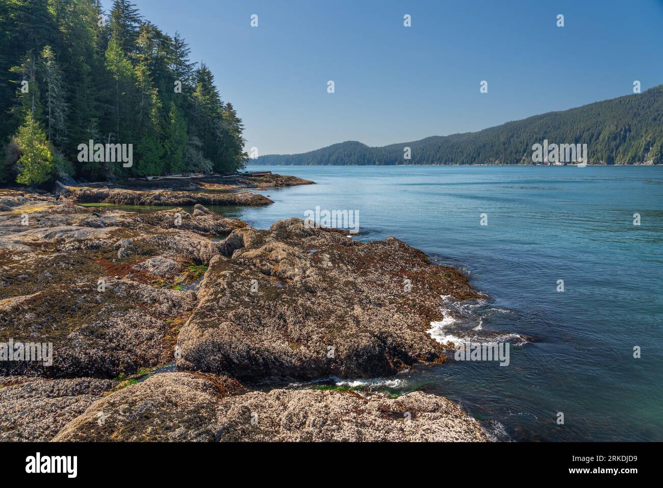 Tidal inlet hi-res stock photography and images - Alamy
