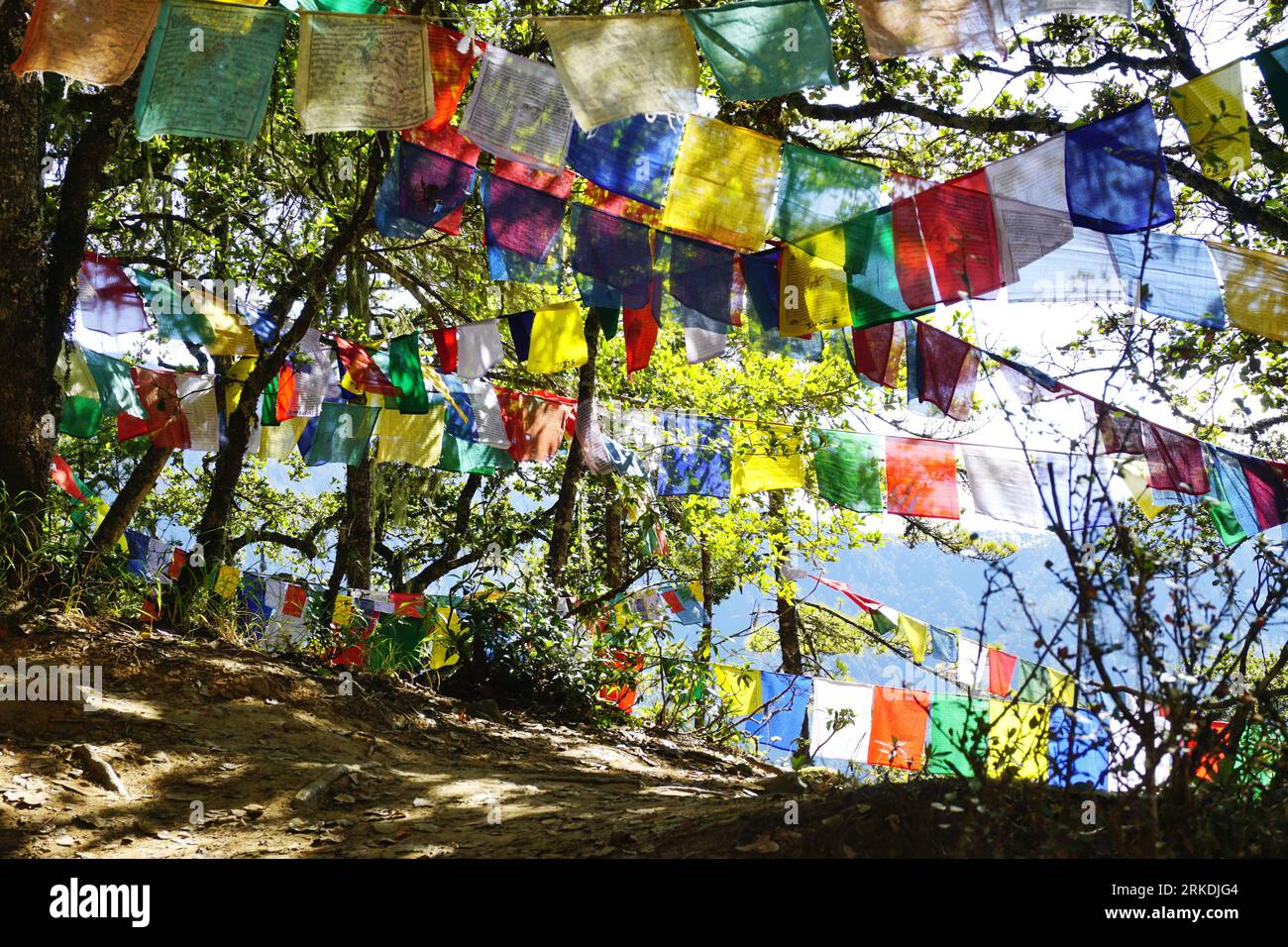 Strings of colorful prayer flags, backlit by the morning sun, hang in ...