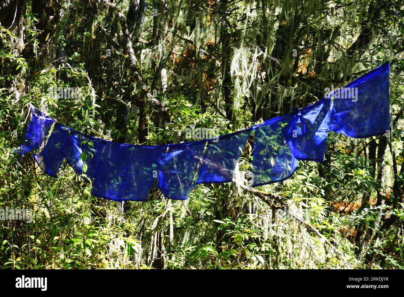Single string of translucent dark blue cloth prayer flags hangs in the ...