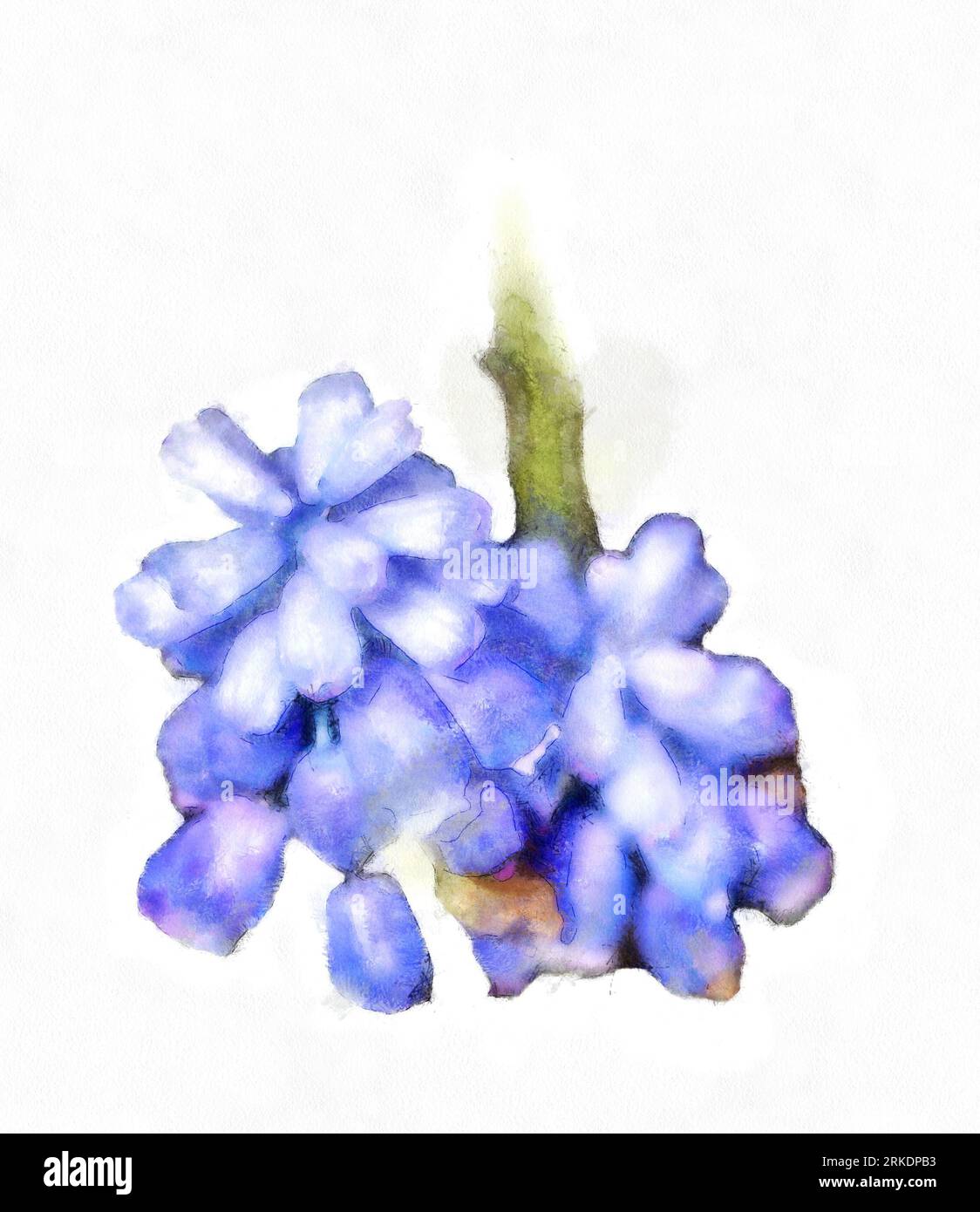 Spring blue flower, digital painting effect, photo manipulation Stock ...