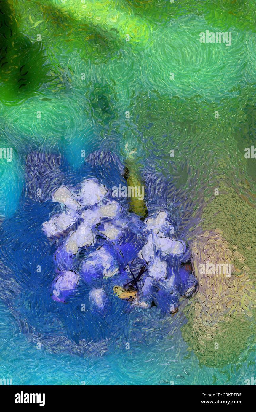 Spring blue flower, digital painting effect, photo manipulation Stock ...