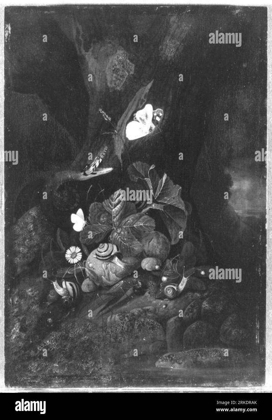 Still life with snake, snails and insects between 1651 and 1699 by ...