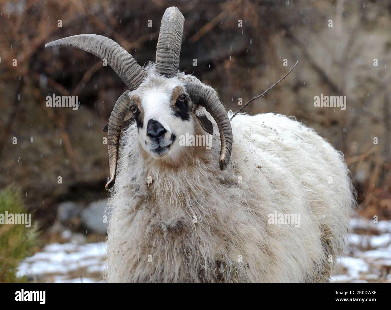 Mutant town hi-res stock photography and images - Alamy