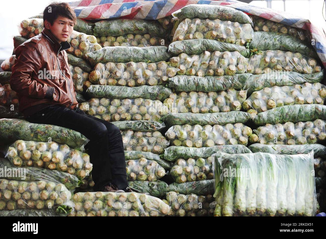 China rose lettuce hi-res stock photography and images - Alamy