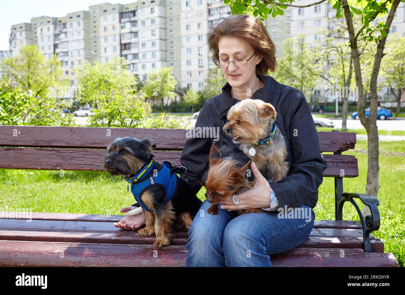 Owner with three dogs sitting on a bench in the summer city park ...