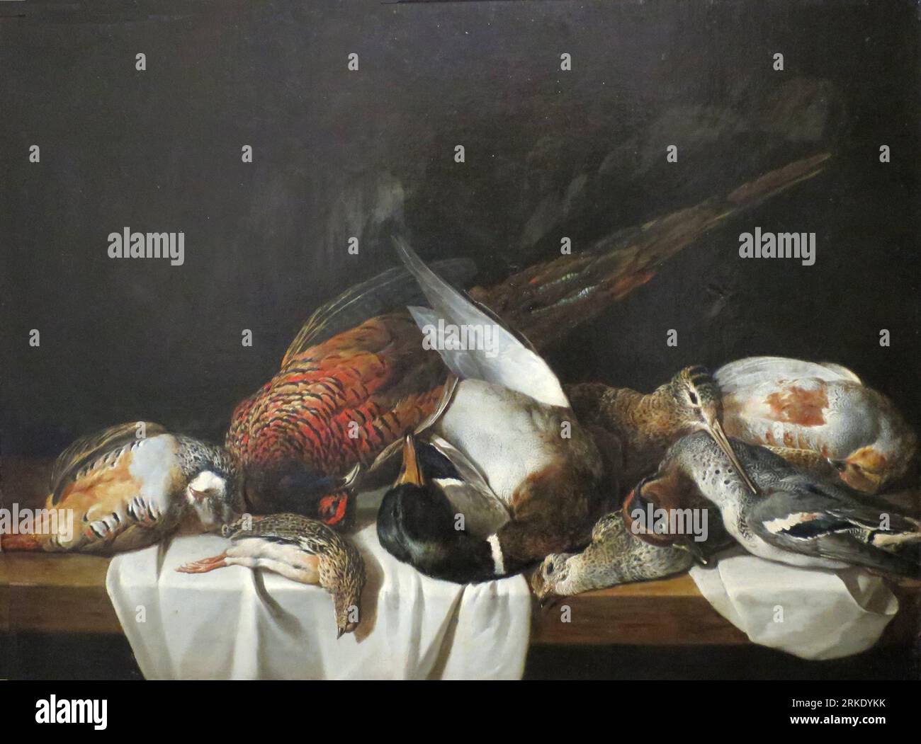 Game Birds circa 1650 by Jan Vonck Stock Photo - Alamy
