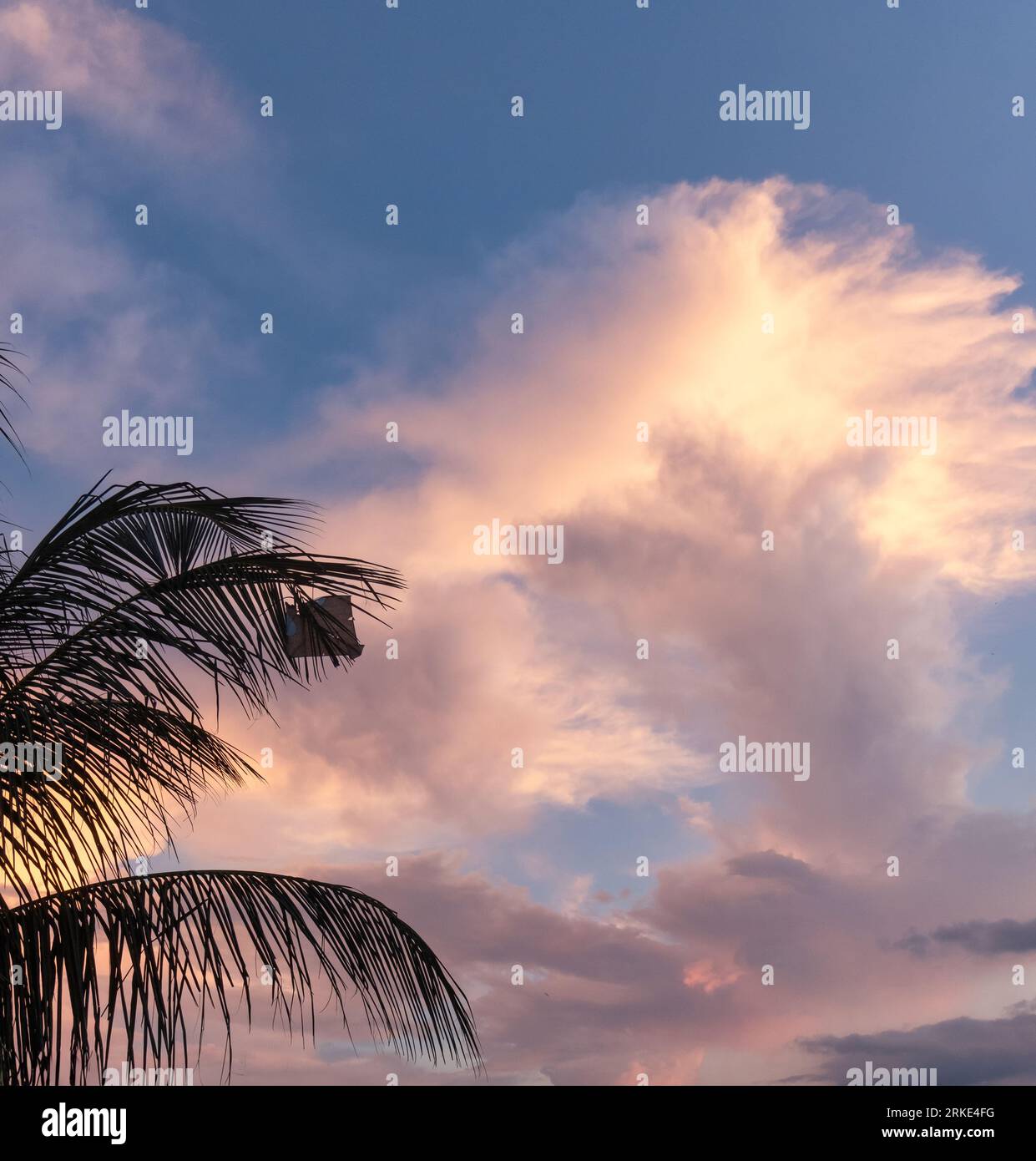 A captivating photo captures the serene evening sky as the descending ...