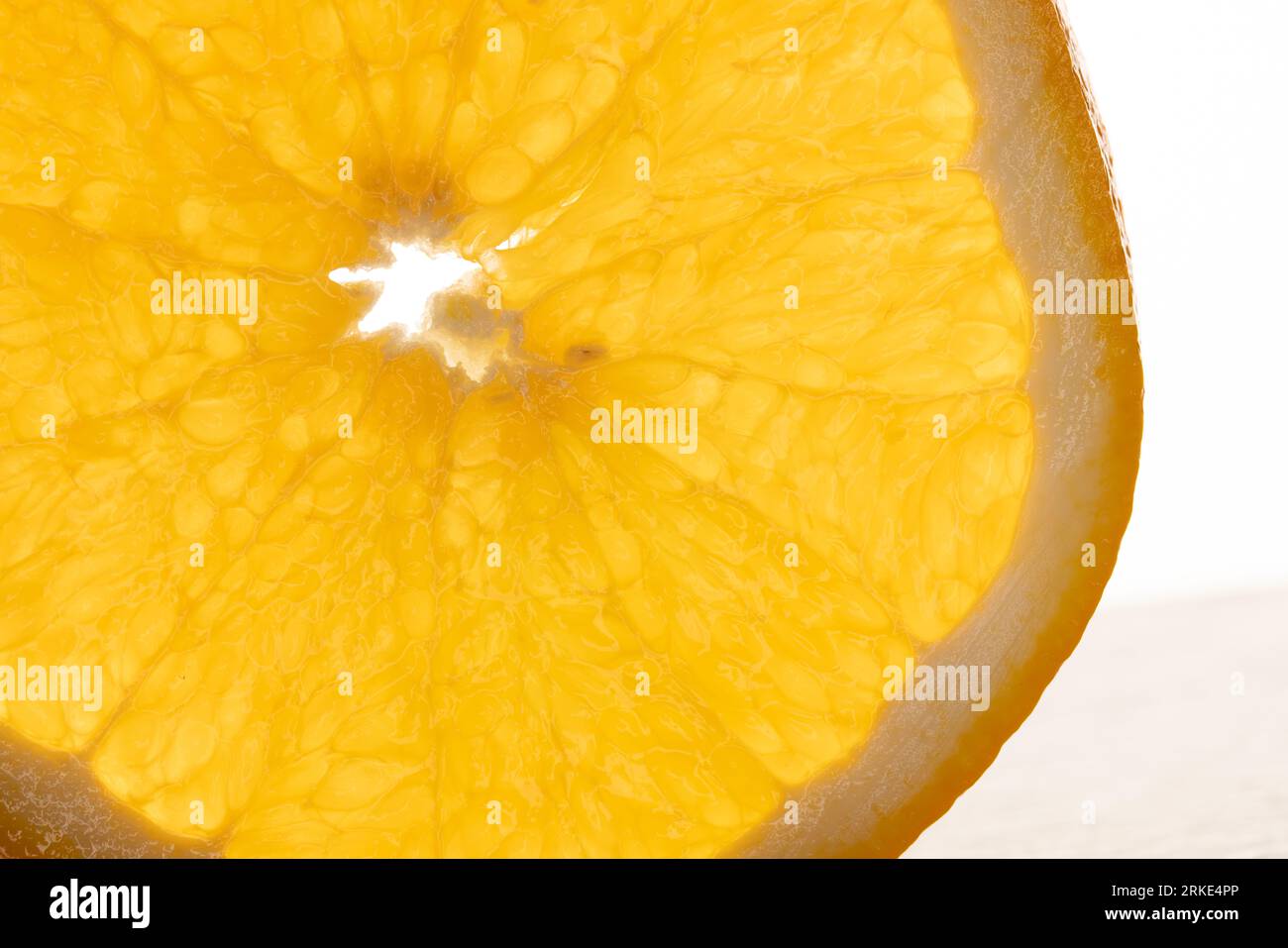 Micro close up of sliced lemon and copy space on white background Stock ...