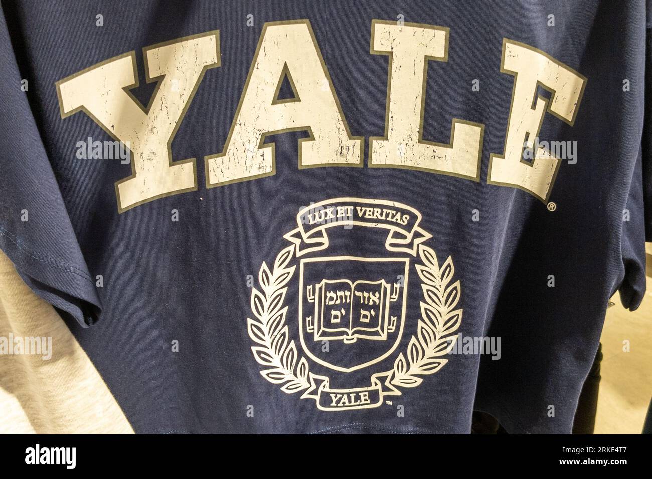 Yale University Logo