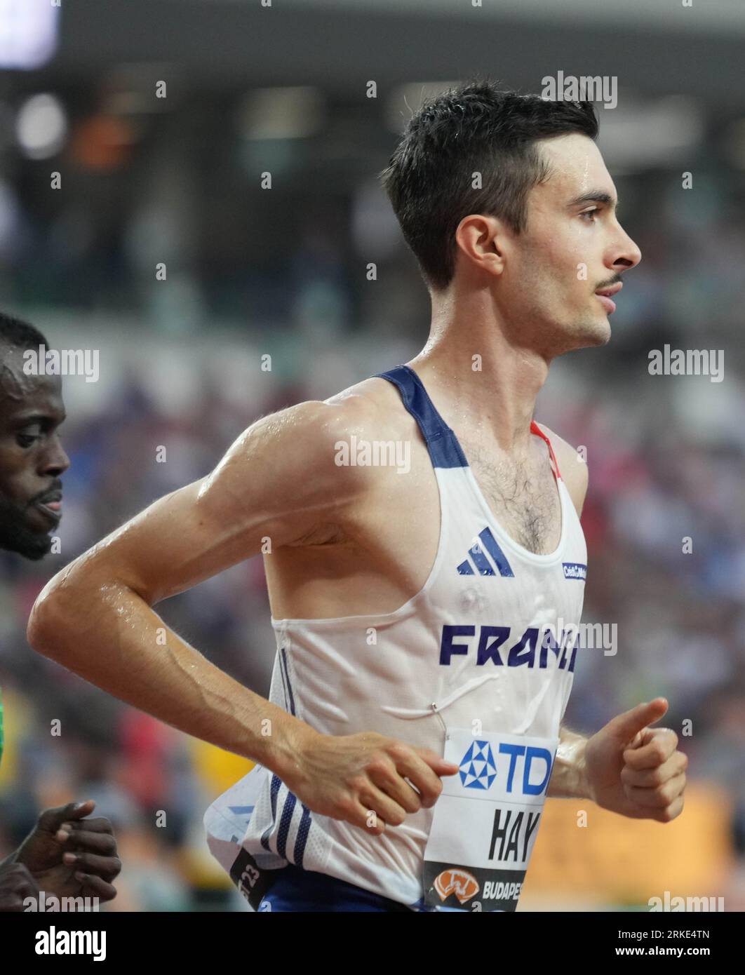 Hugo hay hi-res stock photography and images - Alamy