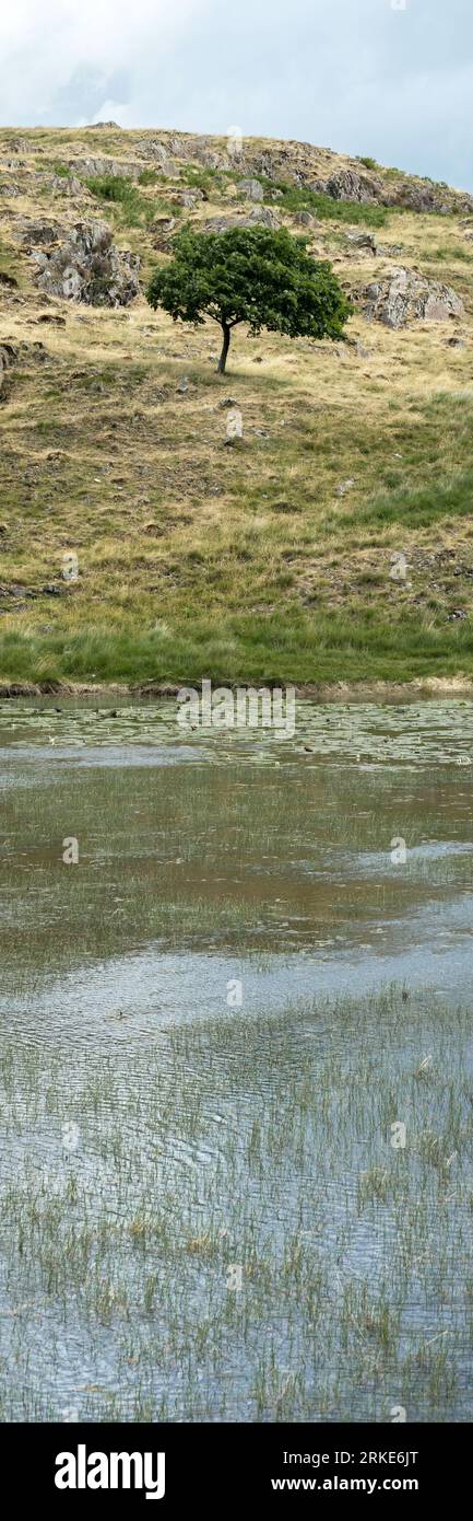 Kelly hall tarn pond hi-res stock photography and images - Alamy