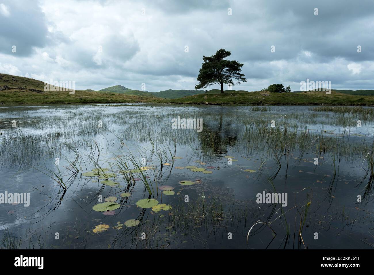 Kelly Hall Tarn Pond, Lake District UK Stock Photo - Alamy