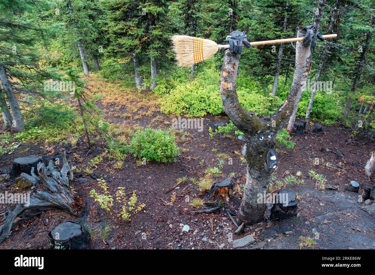 Unique Character Tree Cut Like Sling with Old Gloves and Broom on ...