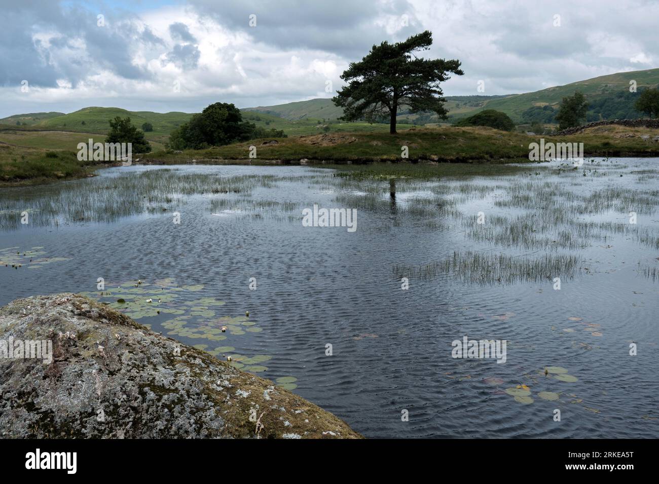 Kelly Hall Tarn Pond, Lake District UK Stock Photo - Alamy
