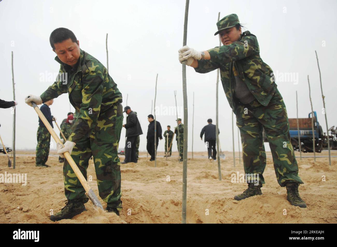 China tree planting ningxia hi-res stock photography and images - Alamy