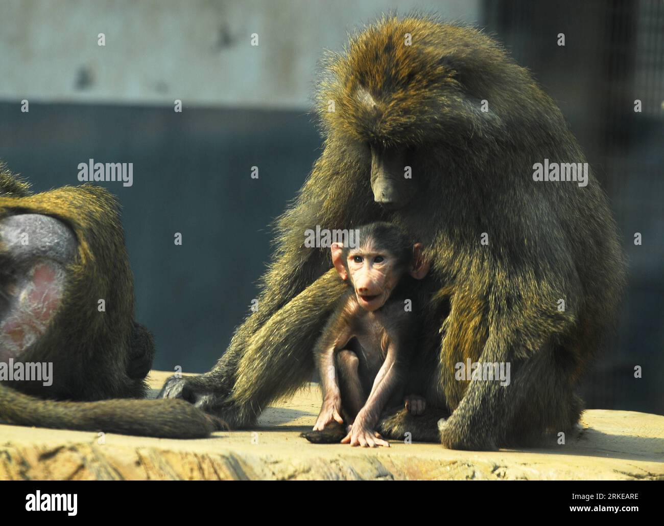 Mother chu hi-res stock photography and images - Alamy