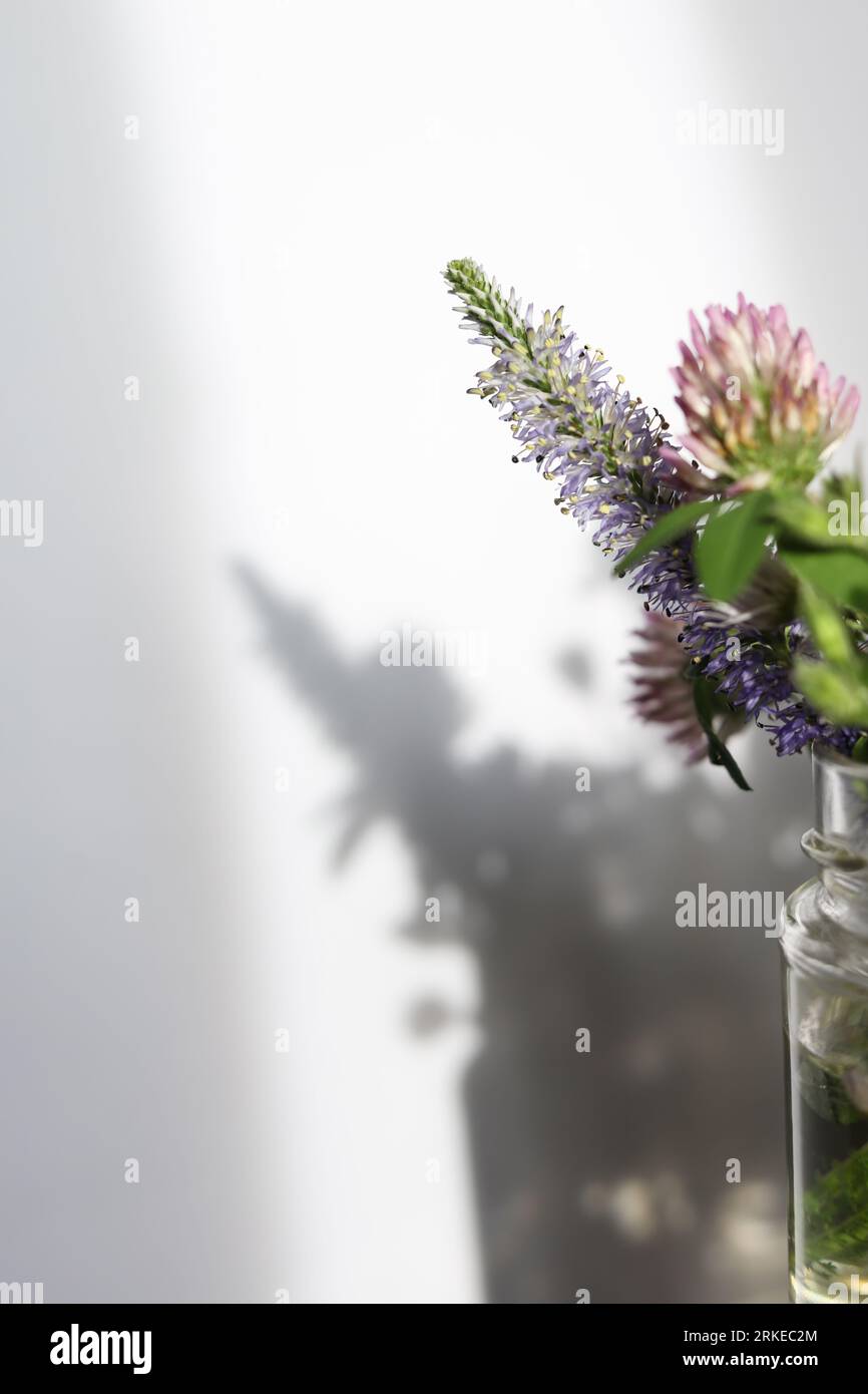 a shadow o a bouquet of wildflowers in a glass jar Stock Photo - Alamy