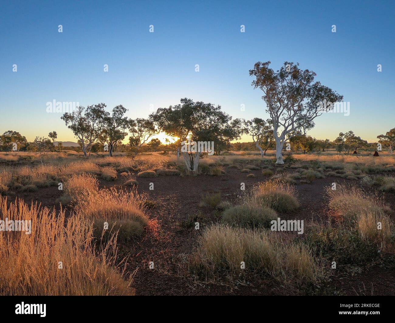Golden sunset hour in the Australian outback Stock Photo - Alamy