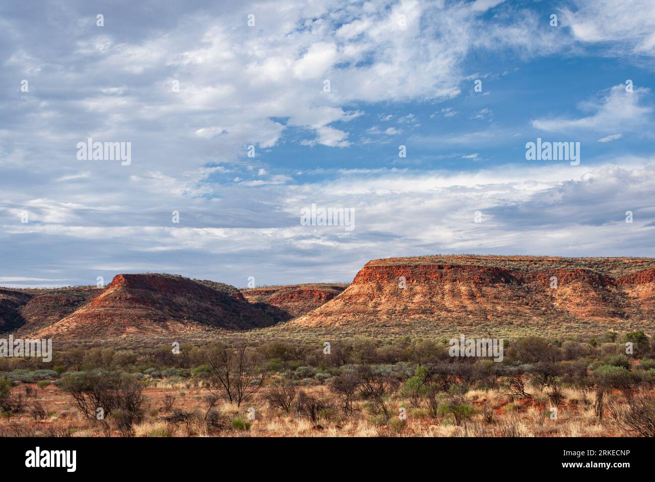 Breathtaking desert road along the Red Centre landscape, Northern ...