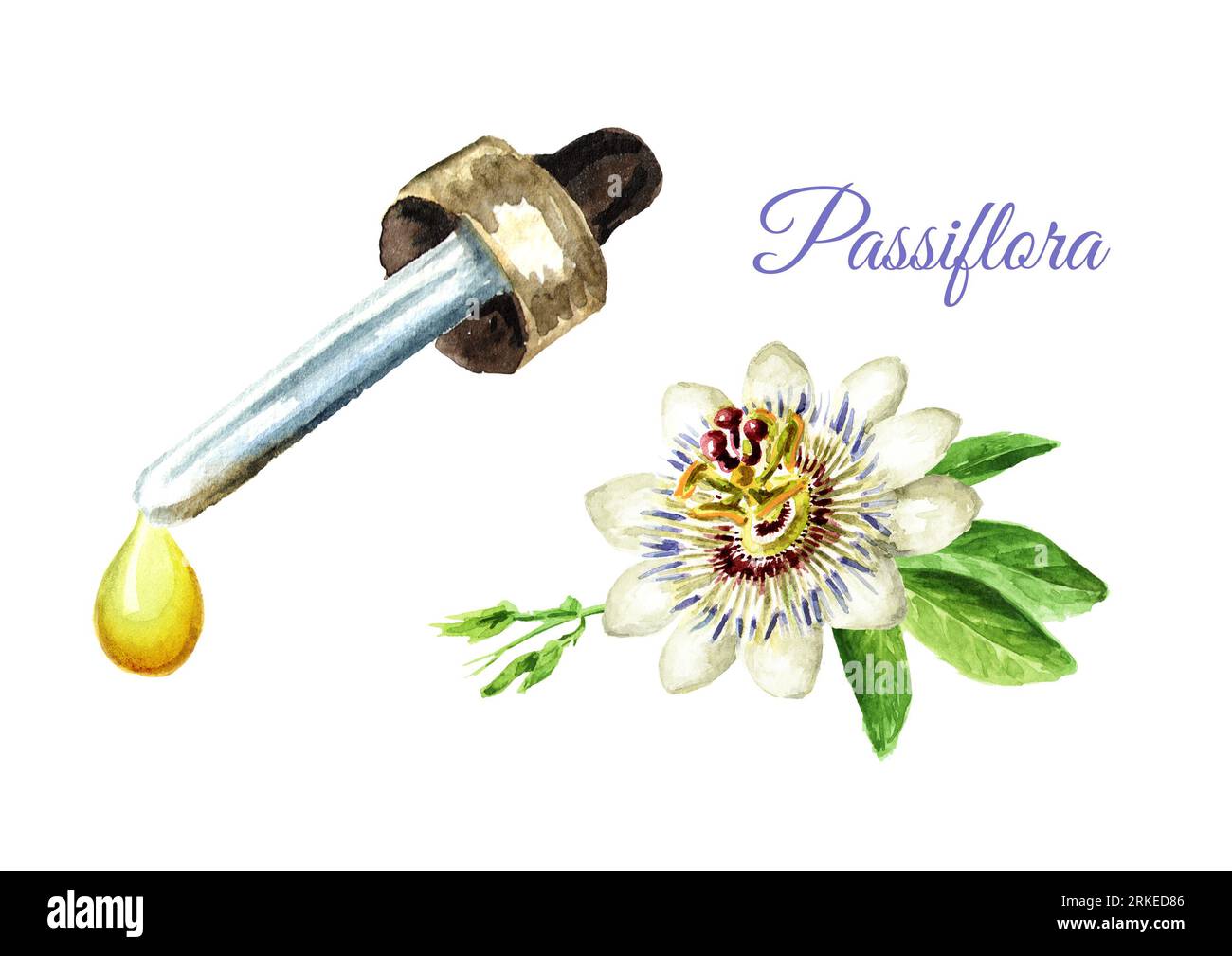 Passiflora, Passion flower cosmetic oil drop, Sap, tincture, herbal ...