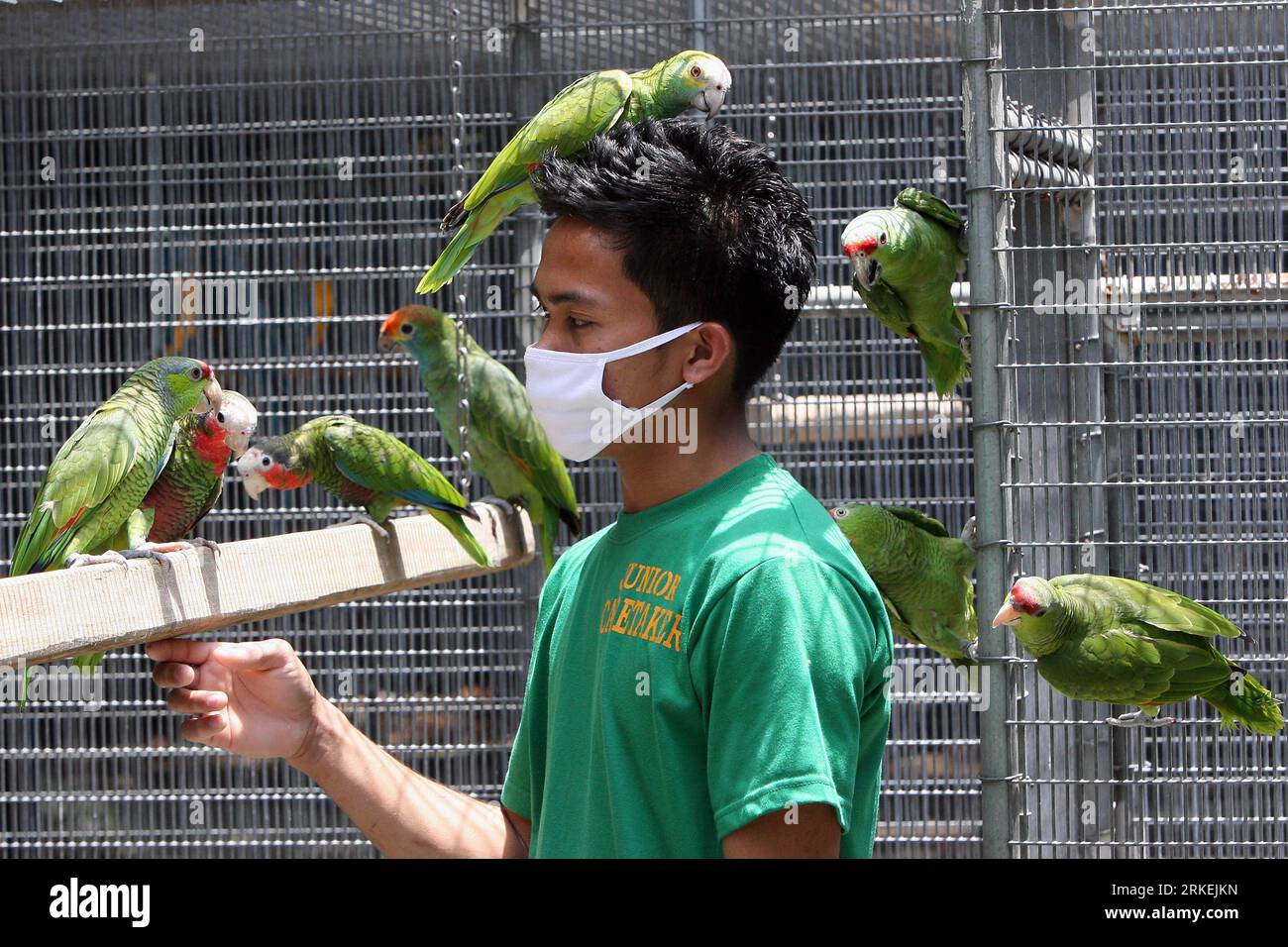 Avicultural hi-res stock photography and images - Alamy