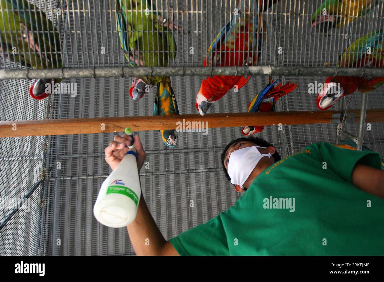 Avicultural hi-res stock photography and images - Alamy